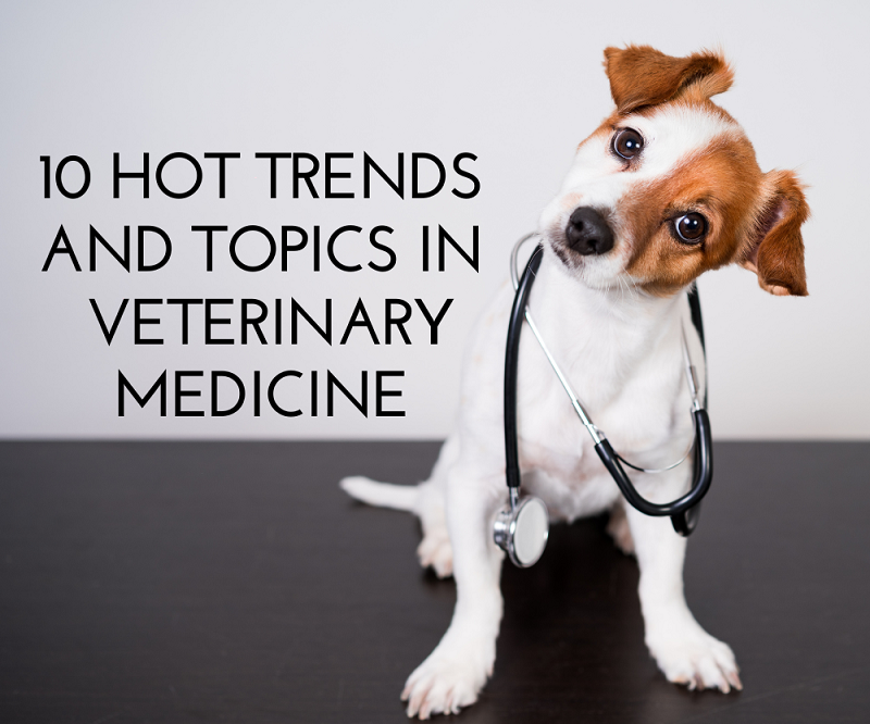 10 Hot Trends and Topics in Veterinary Medicine - Roseville Animal Hospital